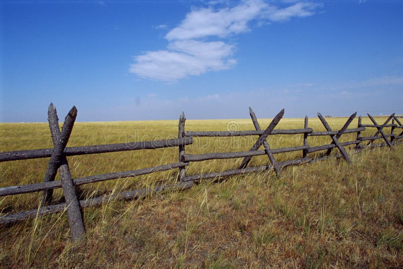 Fenceline in Outback Australia Stock Image - Image of landscape, fence ...