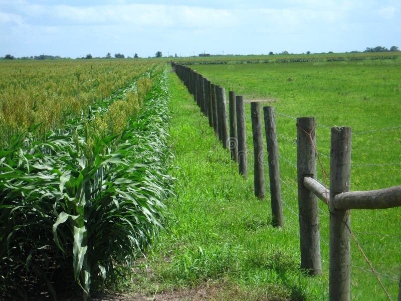 Intriguing Parallel Fence Stock Photos - Free & Royalty-Free Stock ...