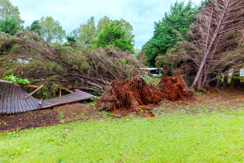 Fences Around a House Were Damaged by Falling Trees during Hurricane ...