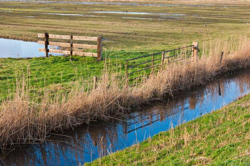 Fences in a Dutch Natural Landscape Stock Image - Image of perfectly ...