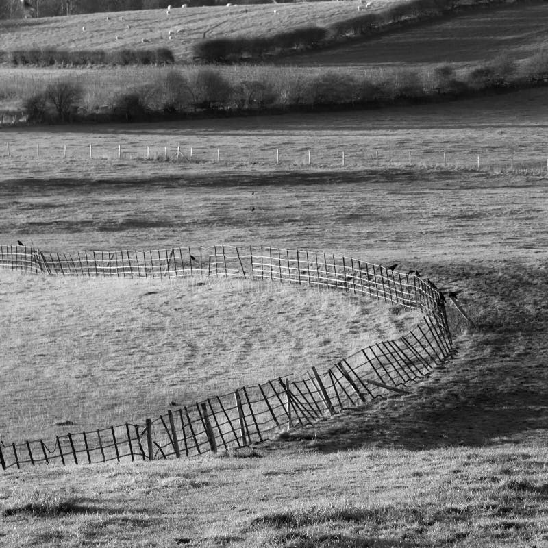 Welsh Slate Fence Boundary, Snowdonia Stock Photo - Image of fencing ...