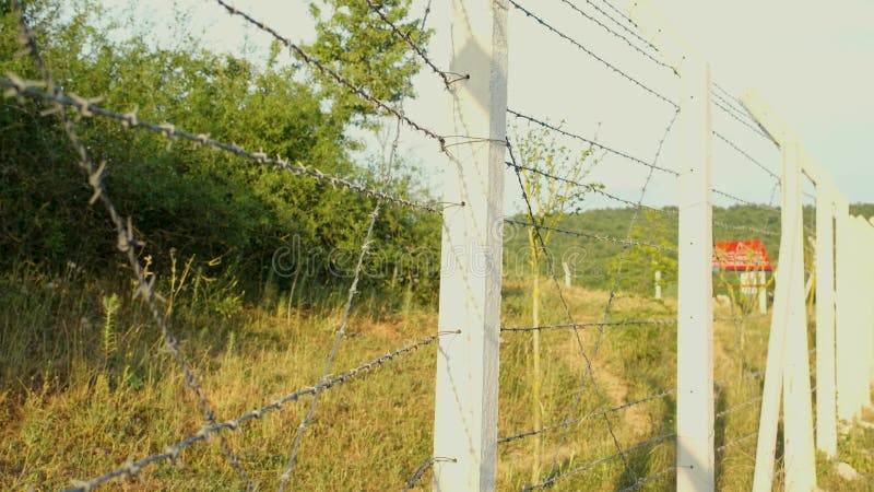 Fences and state border stock footage. Video of freedom - 258663656