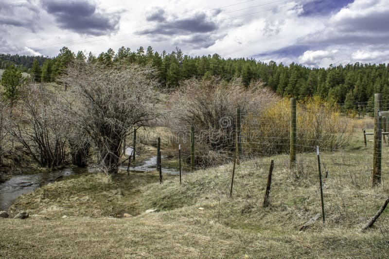 Fences in the Wilderness stock image. Image of water - 145598817
