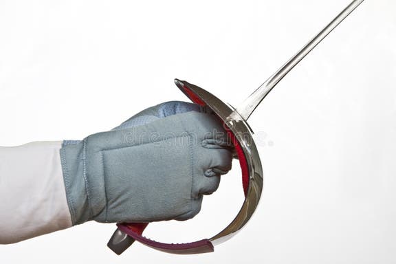 Fencing stock photo. Image of handhold, fencing, game - 14133482