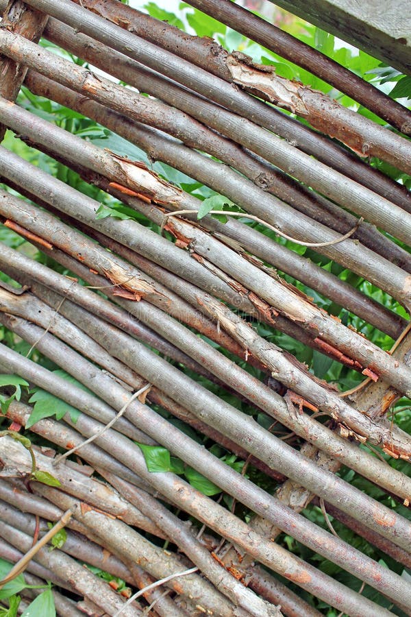 Fence Made Tree Branches Stock Images - Download 183 Royalty Free Photos
