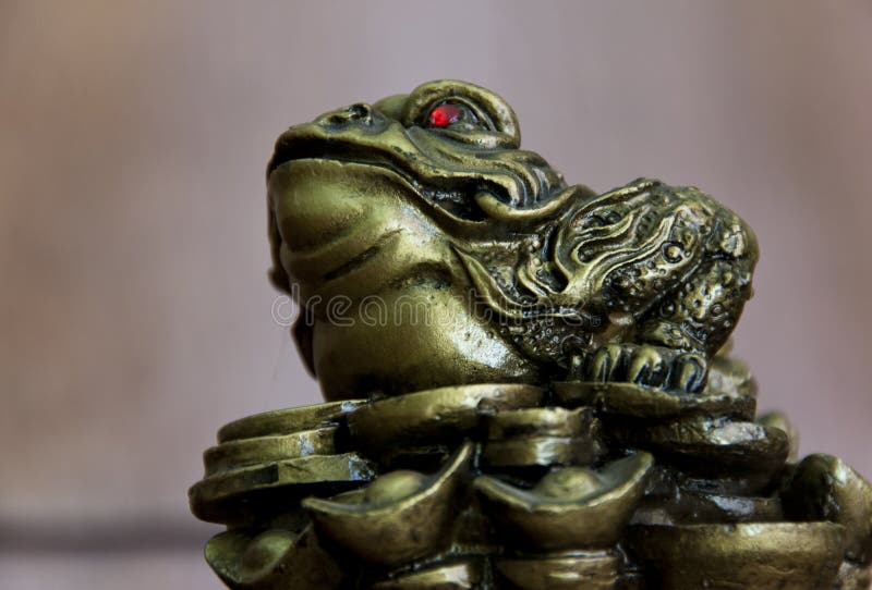 878 Money Frog Stock Photos - Free & Royalty-Free Stock Photos from ...