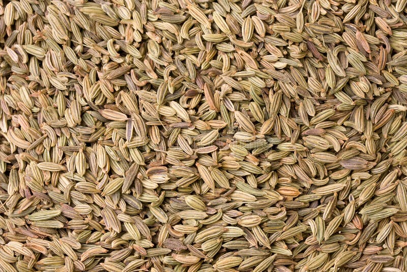 Fenhel Seeds Stock Photos - Free & Royalty-Free Stock Photos from ...