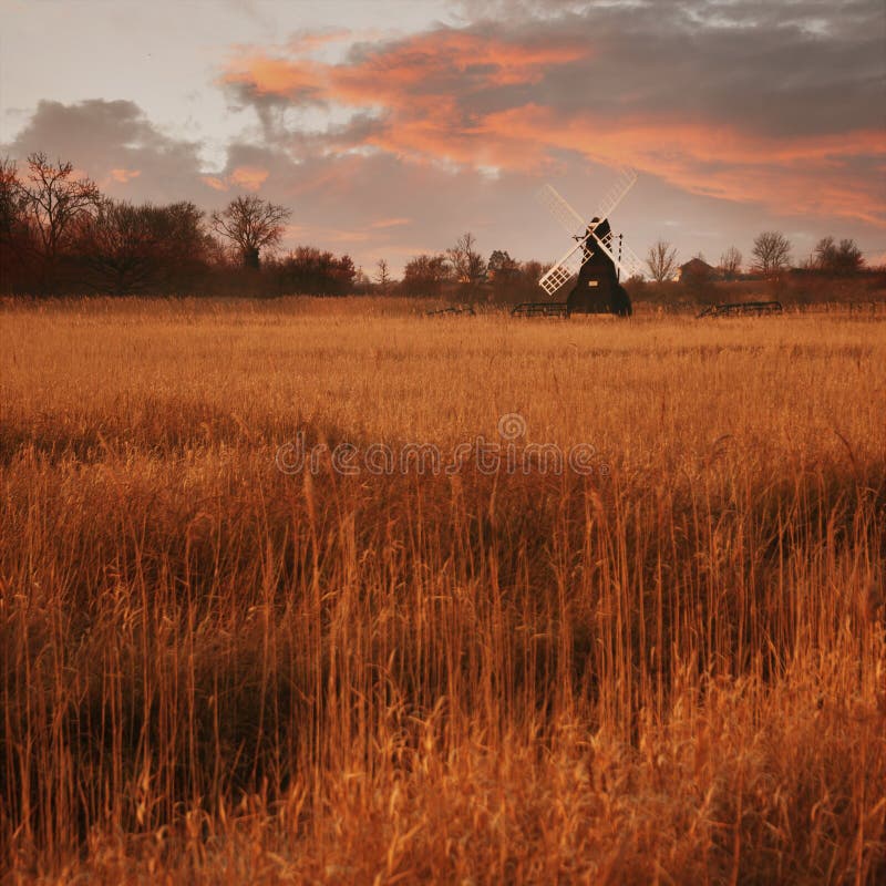 Fenland in Cambridgeshire, England Stock Photo - Image of grass, rural ...