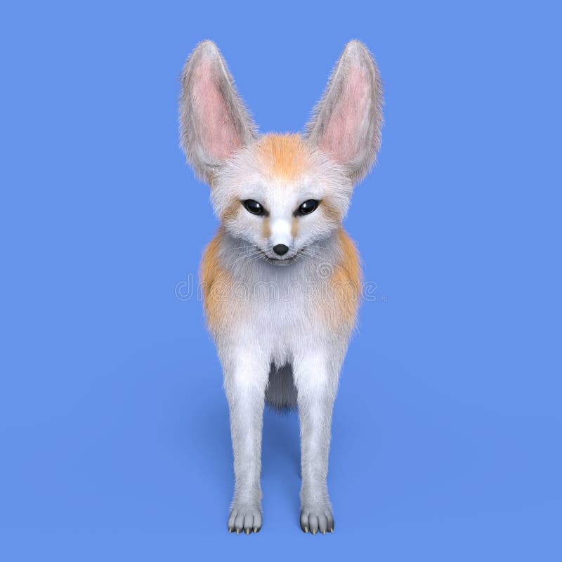 Fennec stock image. Image of mammals, lovely, wild, wildlife - 80709649