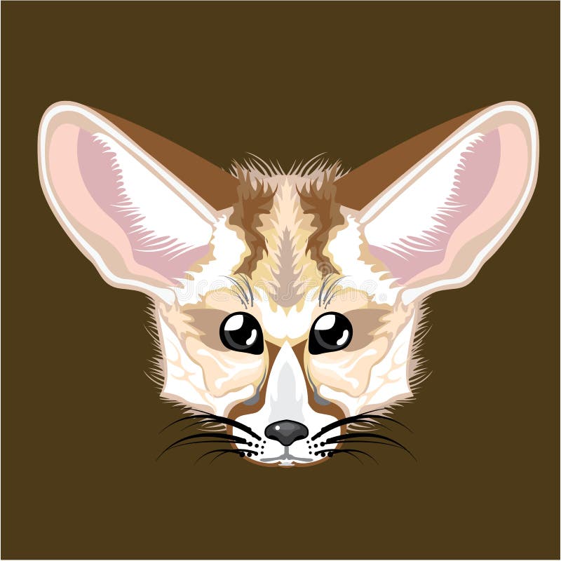 Fennec fox eps stock vector. Illustration of mammal, clip - 62485754