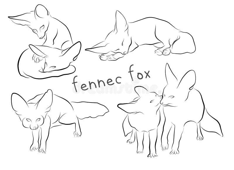 Fennec Fox Set Outline Illustration Vector Stock Vector - Illustration ...