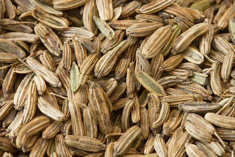 Fennel Seed Background stock image. Image of details, season - 301545