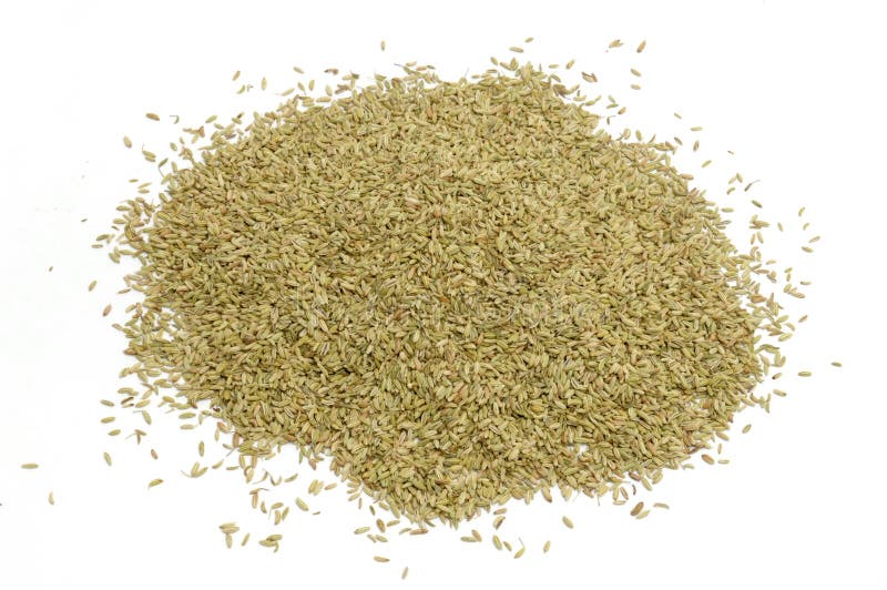 Fennel stock photo. Image of botanical, bunch, food, seed - 15370102