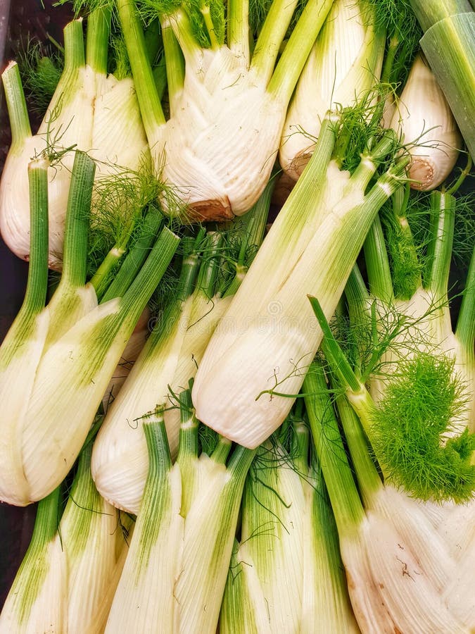 Fennel Bulb with Leaves for Sale in Market Stock Image - Image of ...