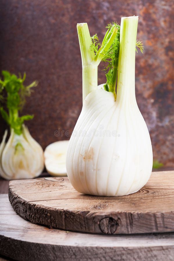 Fennel stock image. Image of vegetable, nature, ingredient - 30088133