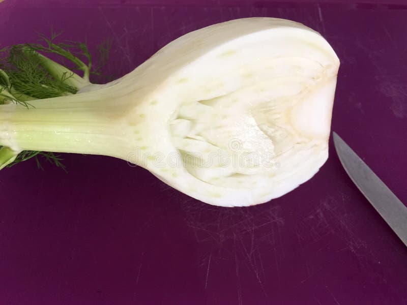 Fennel Cooking on the Plate Stock Image - Image of green, food: 113716463