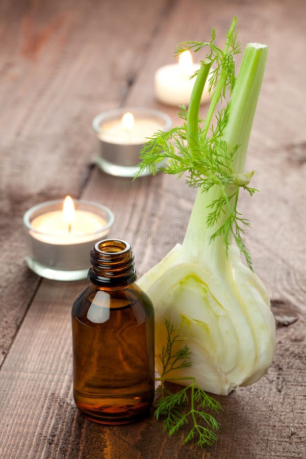 Fennel oil stock photo. Image of wellness, therapy, bottle - 17424902