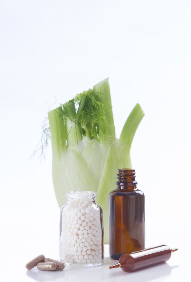 Fennel Plant Healing Herbal Medicine Stock Photo - Image of seeds ...