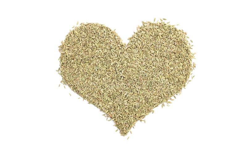 Fennel Heart stock photo. Image of coated, eastern, coloured - 328162