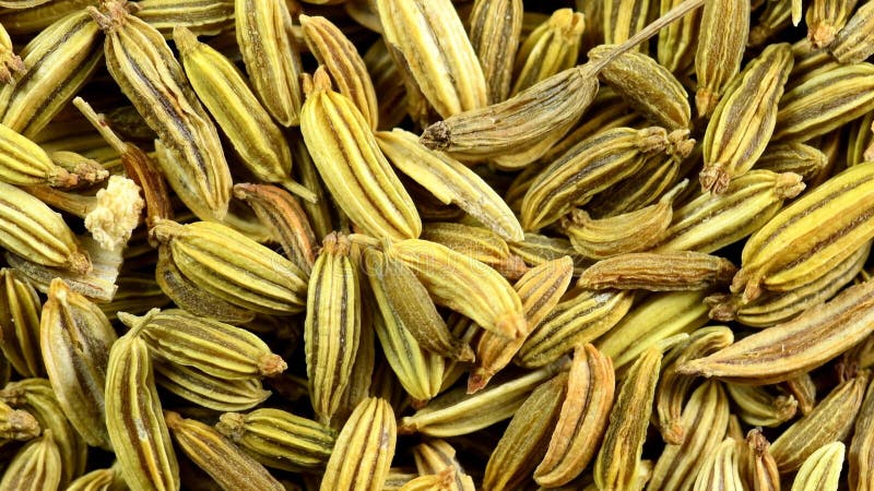 Fennel Seeds, Medicinal Drug and Spice on a Turn Table Stock Footage ...