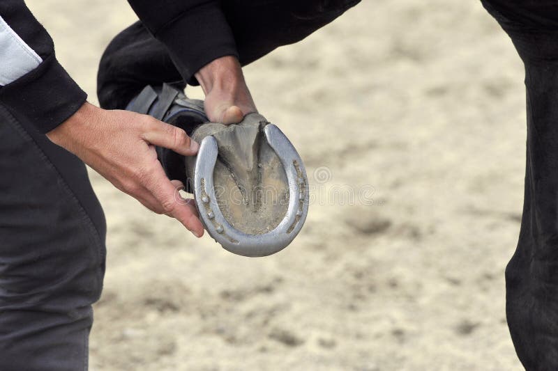 Fer à cheval photo stock. Image du sabot, chaussé, affermage - 16218434