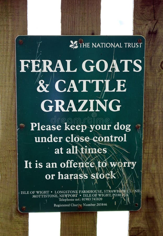 Feral Goats Sign editorial image. Image of grazing, cattle - 271954390