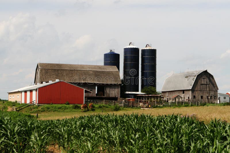 Ferme Américaine Rouge Traditionnelle Image stock - Image of propre ...
