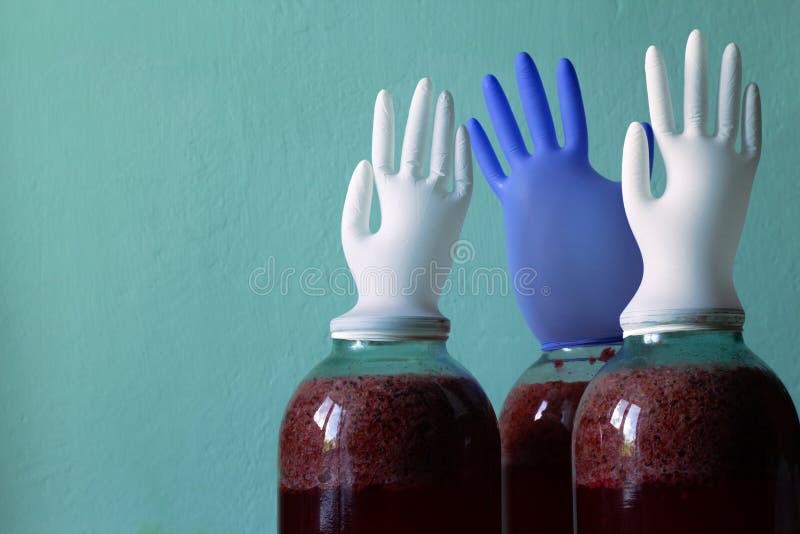 Fermentation Berry Pulp for Wine in Jars with Rubber Gloves. Homemade ...