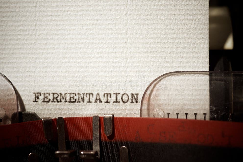 Fermentation concept view stock photo. Image of formation - 267285934