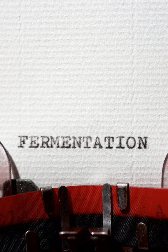 Fermentation concept view stock image. Image of process - 267285987