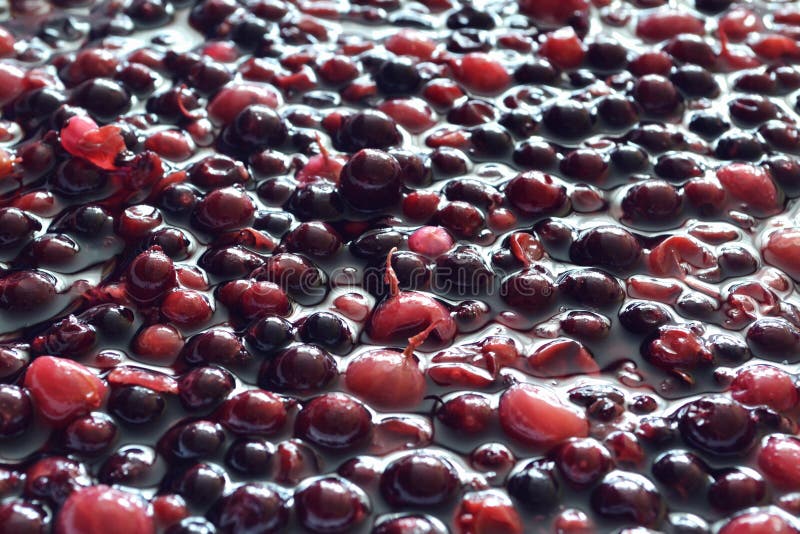 Fermentation of the Mash from Berries for Wine Stock Image - Image of ...