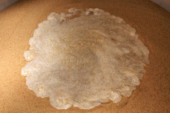 Fermentation Process with Foamy Yeast in Brewery Vat Stock Photo ...