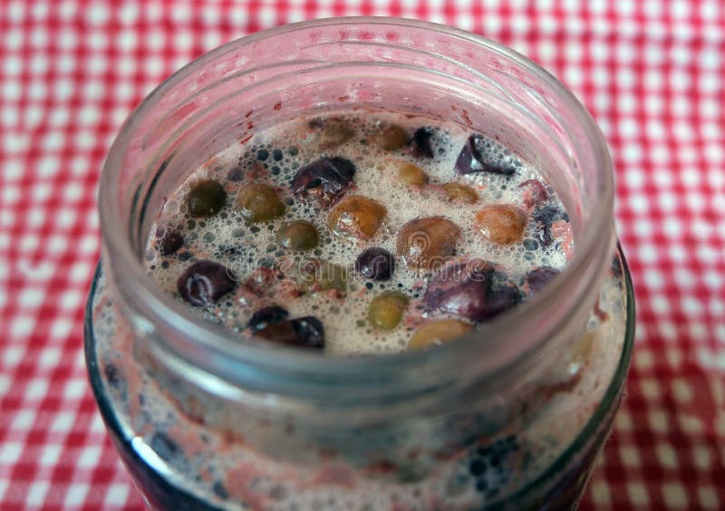 Grape Vineger Stock Photos - Free & Royalty-Free Stock Photos from ...