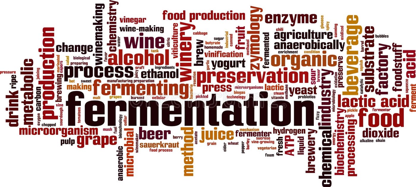 Fermenter Stock Illustrations – 53 Fermenter Stock Illustrations ...