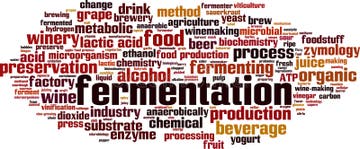 Fermentation word cloud stock vector. Illustration of microorganism ...