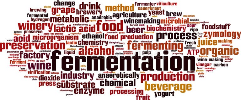 Fermentation word cloud stock vector. Illustration of microorganism ...
