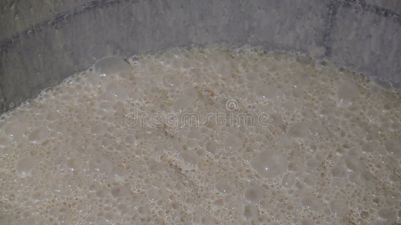 Fermentation of Yeast Ferment Close-up at Factory Stock Video - Video ...