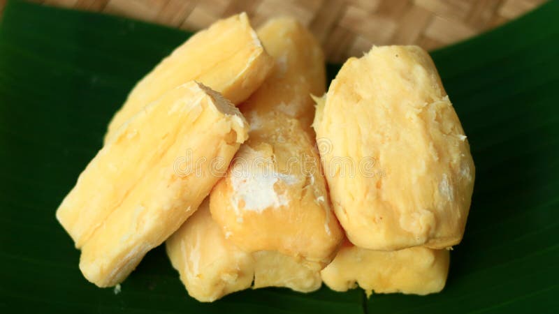 Fermented Cassava stock photo. Image of asian, snack - 226040602