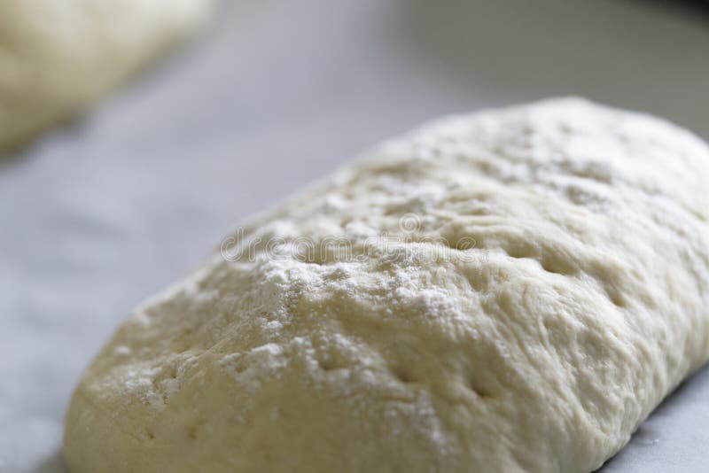 Fermented Dough on Baking Paper Stock Photo - Image of range, natural ...
