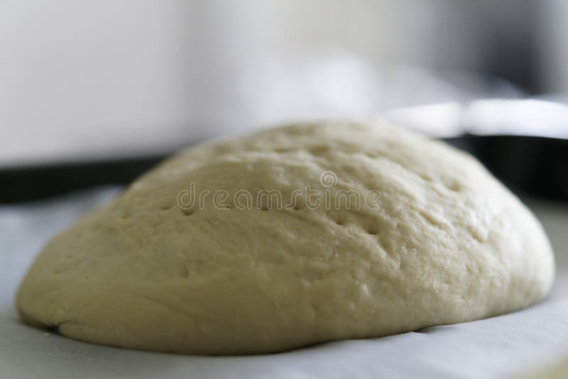 Fermented Dough on Baking Paper Stock Image - Image of shoot, paper ...