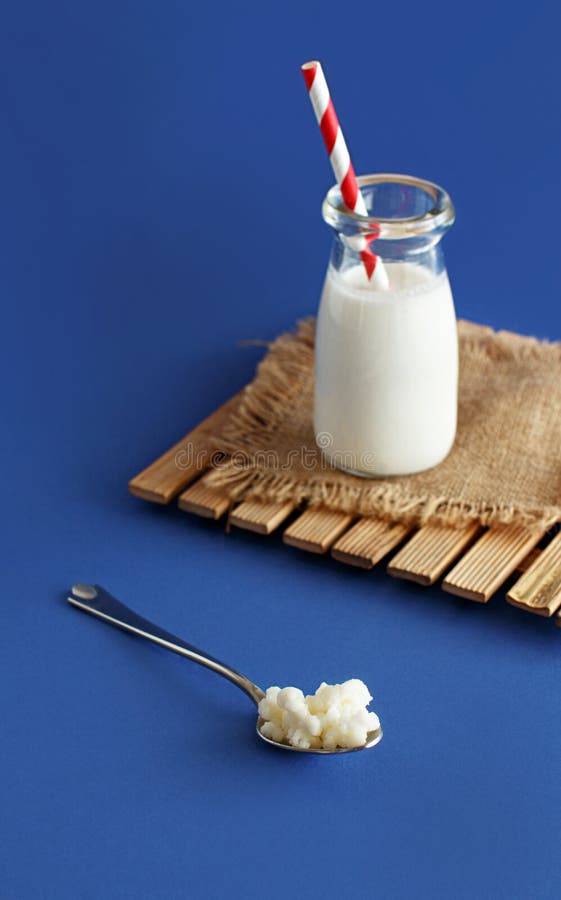 Fermented Drink Kefir in Small Bottle and Kefir Grains Stock Image ...