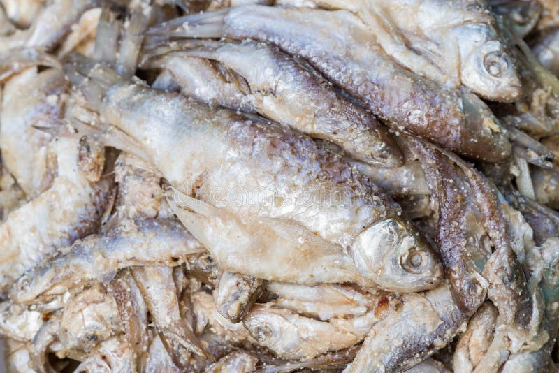 Fermented fish stock photo. Image of thailand, eating - 39247254
