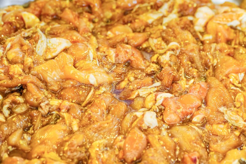 The Fermented Fresh Chicken Meat Stock Image - Image of fermenting ...