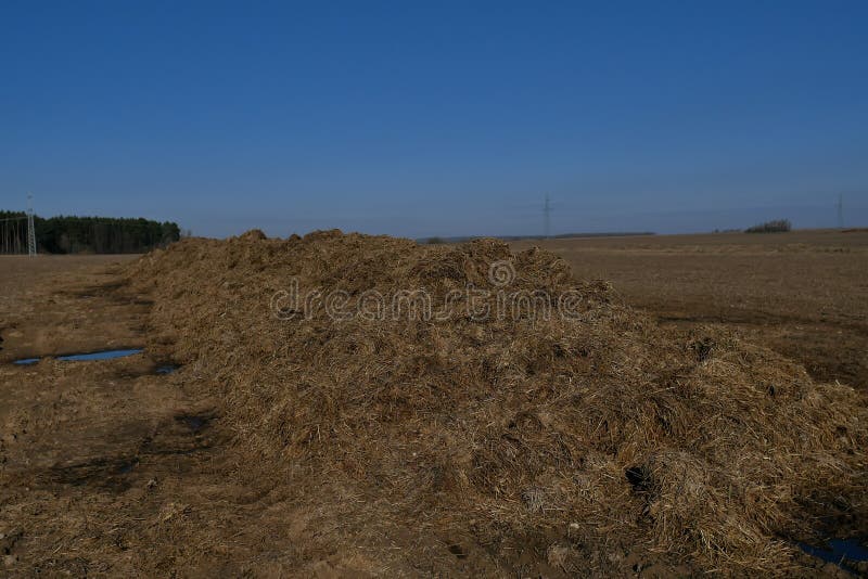 Fermented Organic Fertilizer, Fertilizer for Agriculture Stock Image ...
