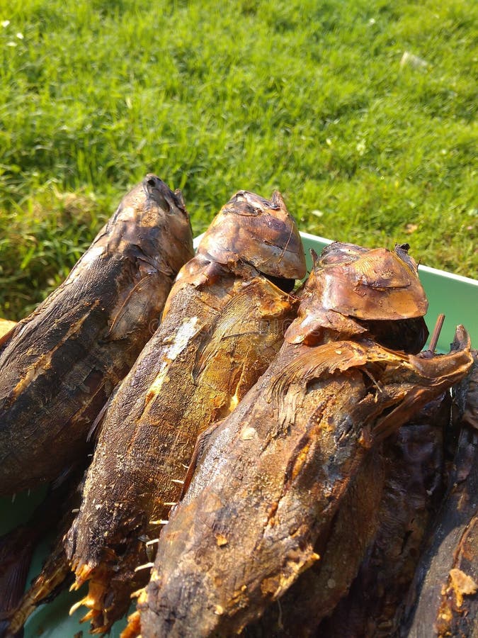 Fermented Smoked Tuna stock photo. Image of fisish, smoked - 282360186