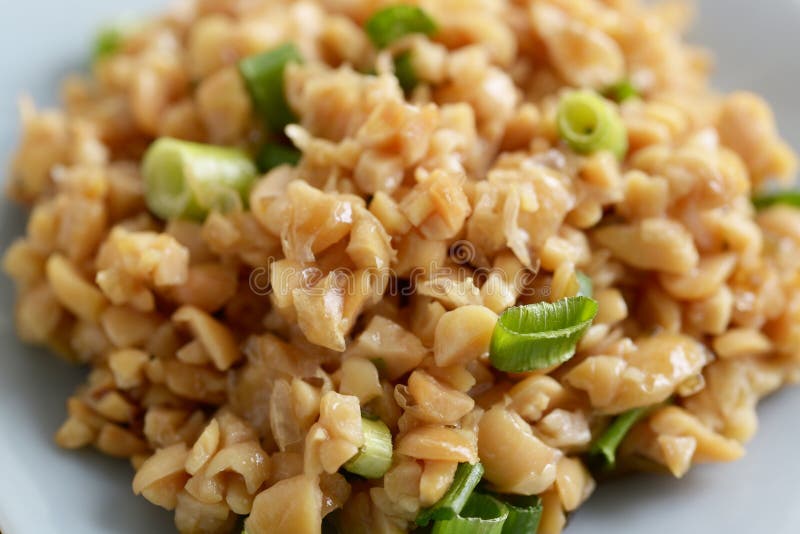 Fermented soybeans stock photo. Image of foods, leek - 130518862