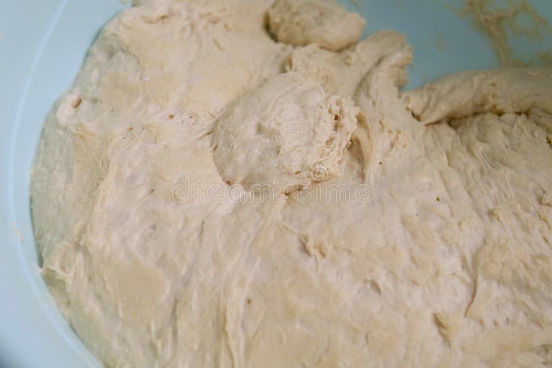 Fermented Wheat Flour Dough, Raw Fermented Dough, Fermented and ...