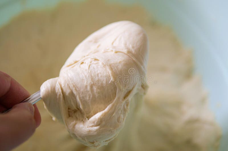 Fermented Wheat Flour Dough, Raw Fermented Dough, Fermented and ...