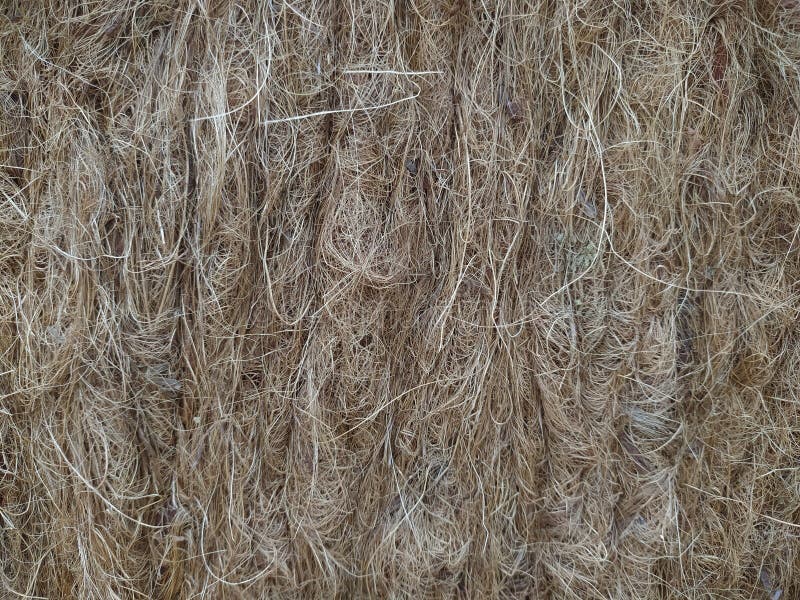 Fermeture De La Texture De La Fibre De Coco Pour Fond Photo stock ...