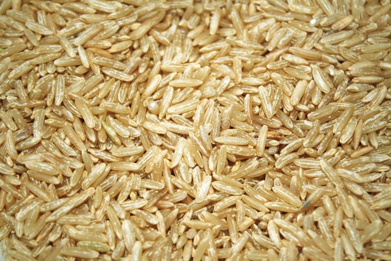 Riz brun de grain entier image stock. Image du entier - 36581623